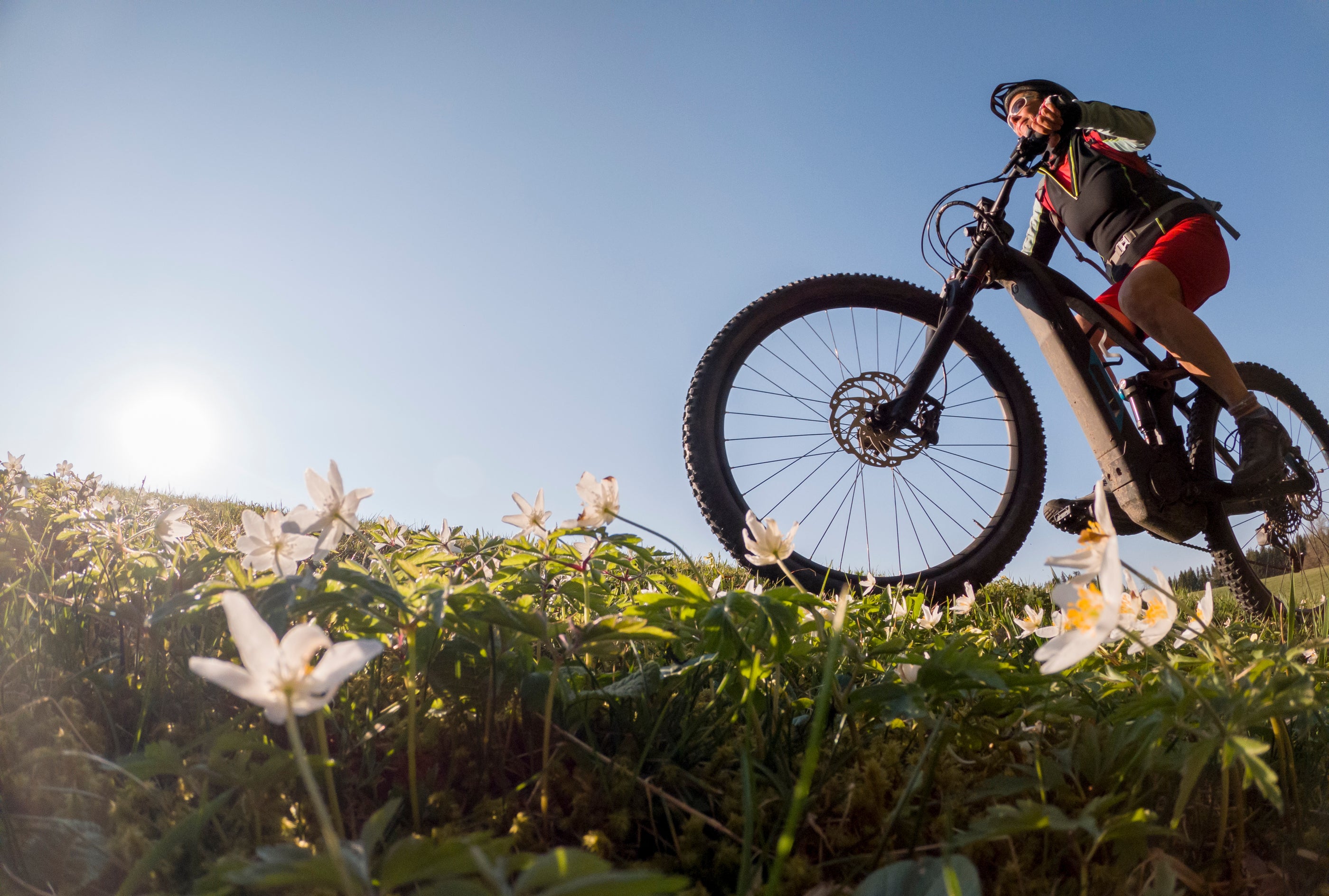 365 Cycles | Mountain & Road Bike Components, Accessories, Apparel
